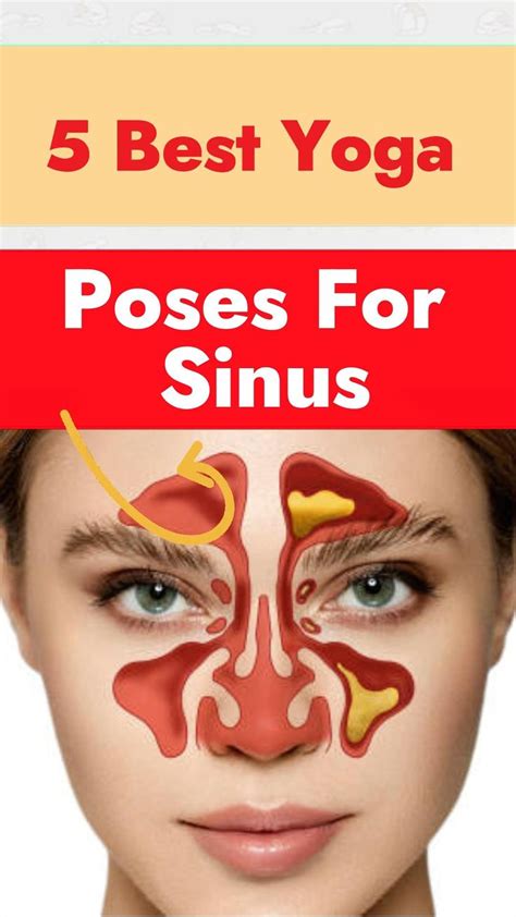 5 Best Yoga Poses For Sinus In 2023 Daily Yoga Workout Learn Yoga