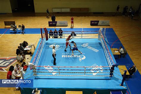 هت‌تریک طلایی بوکس ایران؛ متین چمی‌پا صاحب مدال خوش‌رنگ طلا شد