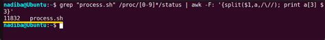 Check If A Process Is Running In Bash Methods LinuxSimply