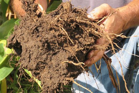 How To Measure And Test Soil Health 4R Plus