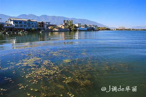 在大理 背靠苍山面朝洱海 新浪图片