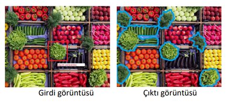 How Do You Develop An Image Processing Method To Find Chegg