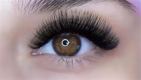 The Doll Eyelash Extensions Guide 101 Eyelash Extensions Manufacturer