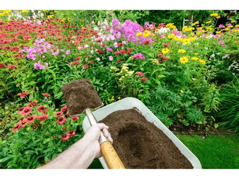 Will Compost Kill Grass The Truth About Using Compost As A Lawn