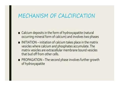 Solution Pathological Calcification Necrosis And Gangrene Pathology