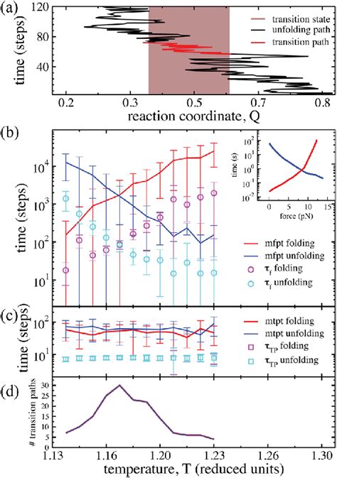 A A Snapshot Of A Protein Unfolding Event With One Transition Path Download Scientific