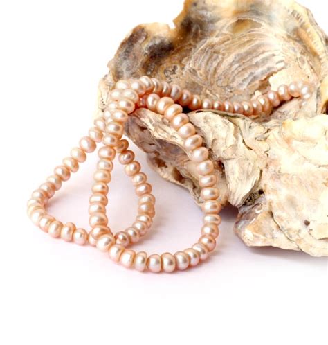 premium photo pearl string on a sea shell