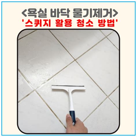 욕실 바닥 물기제거 스퀴지 활용 팁 청소 방법 네이버 블로그