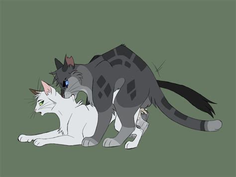 Rule 34 43 Ashfur Warriors Backsack Balls Bite Blue Eyes Blue