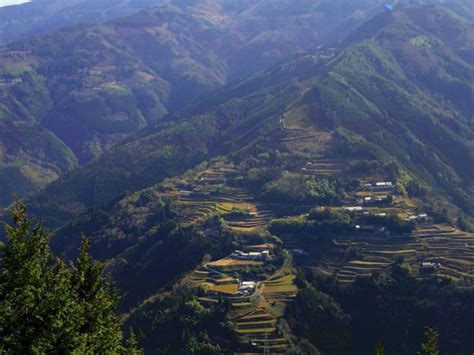 ふれたいのは、ぬくもりだ。日本三大秘境のリアルをお届けする「only One Shiiba」【宮崎県椎葉村】 ローカリティ！