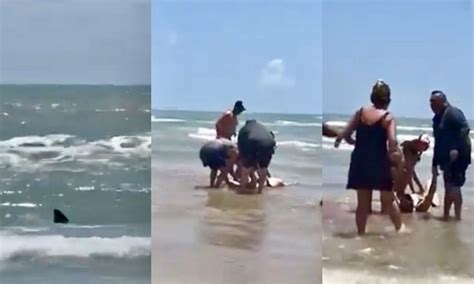Ataque De Tiburón En Isla Del Padre Deja Dos Personas Heridas En Pleno