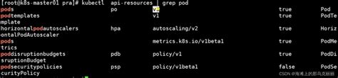为什么要引入pod，pod资源版本，command使用，pod常见状态，pod拉取策略，pod重启策略pod版本 Csdn博客