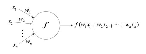 Comparison How Are Artificial Neural Networks And The Biological