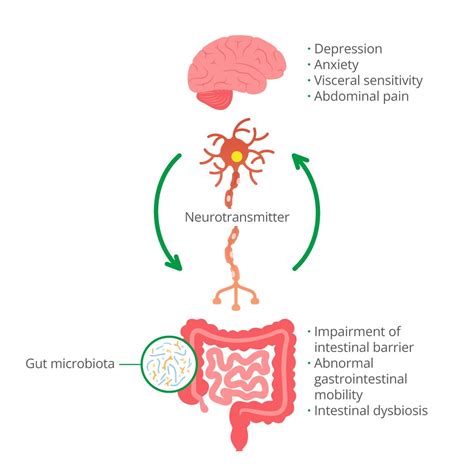 Happy Mind Happy Gut Understanding The Brain Gut Axis And Ibs