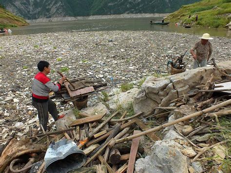 长江三峡水库部分水湾聚集大量漂浮垃圾 频道 凤凰网