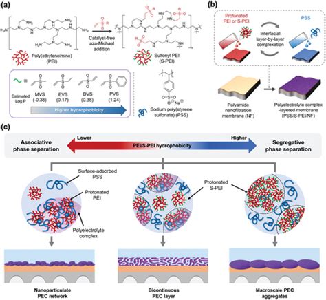 Controlling Bicontinuous Polyelectrolyte Complexation For Membrane Selectivity Redox‐mediated