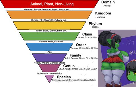 I Got Into An Argument And Created A Taxonomy Porn Chart To Prove My