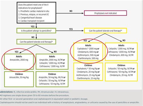 American Heart Association Dental Antibiotic Prophylaxis Guidelines At