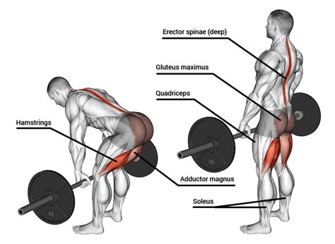Detailed Deadlift Program For Boosting Your 1rm Torokhtiy Weightlifting