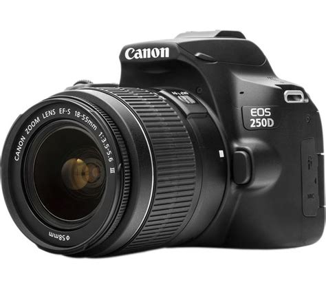 Canon Eos D Dslr Camera With Ef S Mm F Iii Ef Mm F Stm Lens C
