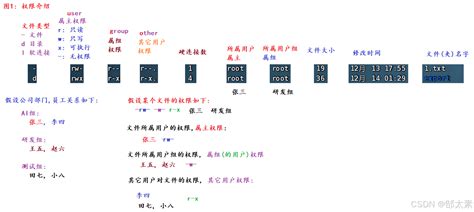 linux命令进阶 csdn博客