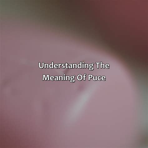 What Color Is Puce