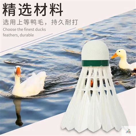 华美AHJ233 羽毛球装备哪里买 中羽在线