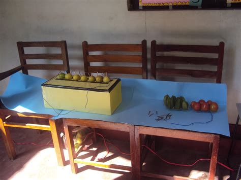 සබරගමුව පළාත් ප්‍රාථමික අධ්‍යාපන ඒකකය විද්‍යා සංකල්ප වලට අදාළ ඉගෙනුම්