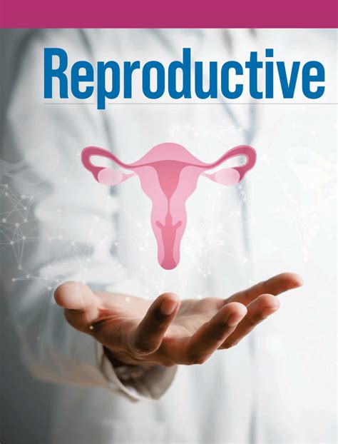 Pdf Reproductive Justice Theory Teaching Social Work Ethics While
