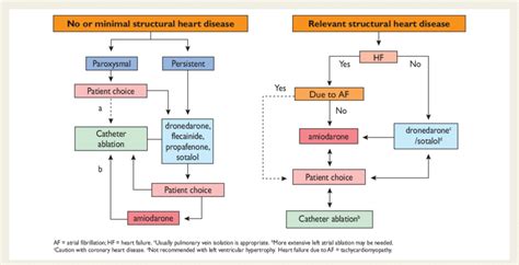 Antiarrhythmic Drugs Andor Left Atrial Ablation For Rhythm Control In Af Download Scientific