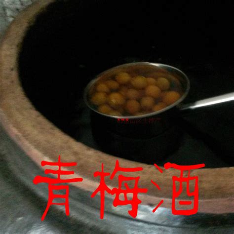 自酿青梅酒梅子酒酸梅酒梅酒水果酒，198元一斤5斤包邮，买10送1 天天券