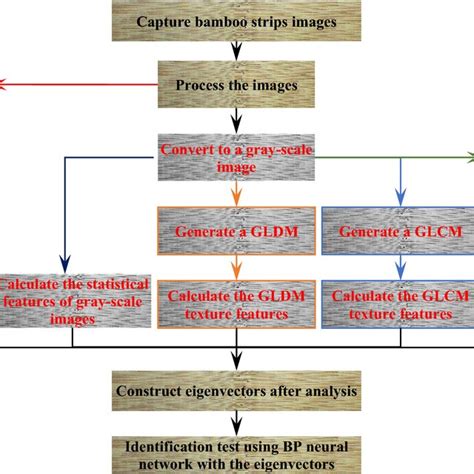 Flow Diagram For Extracting Features And Identifying Bamboo Strip Defects Download Scientific