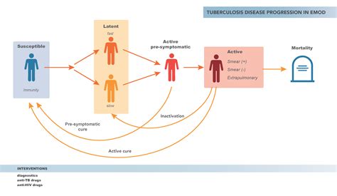 Tuberculosis Model Overview — Tuberculosis Model Documentation