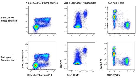 Doing More With Less Fixatives
