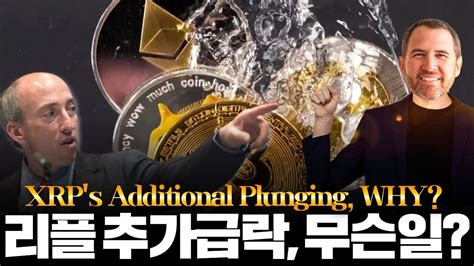 리플 추가급락 무슨 일” Youtube