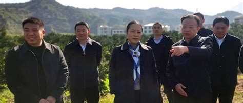 好消息！过境隆回的新新高速最新进展来了建设仇珂静项目