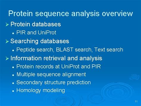 Protein Sequence Analysis Overview Raja Mazumder Senior Protein