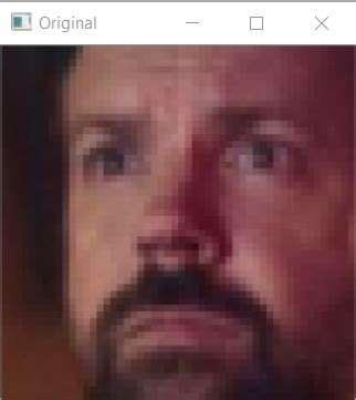 Github Riya Facerecognition Recognizes Faces