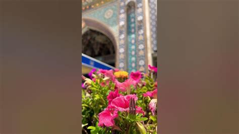 ربنا هب لنا من ازواجنا وذرياتنا قرة اعين واجعلنا للمتقين اماما Youtube