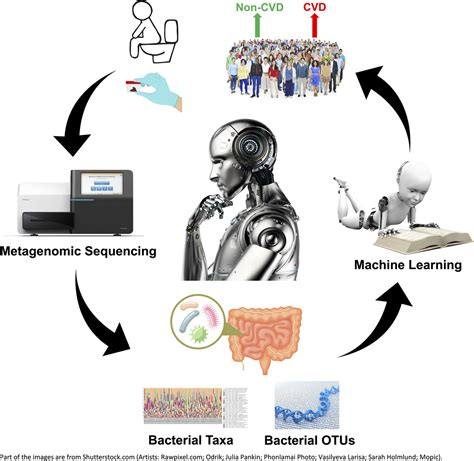 Machine Learning Strategy For Gut Microbiome Based Diagnostic Screening