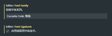 好看的vscode字体vscode好看的字体样式cascadia Code Csdn博客