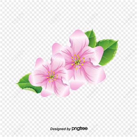 재스민꽃들 Png 일러스트 무료 다운로드 Lovepik