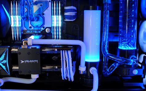 James Hustead Jameshustead Twitter