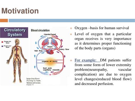 Ppt Non Invasive Tissue Oximetry Using Reflection Mode Near Infrared Spectroscopy System