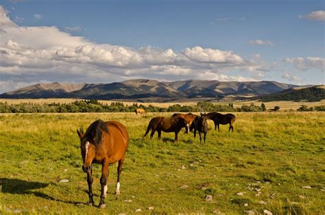 Картинки казахская степь 67 фото