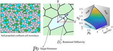 Motility Driven Glassy Dynamics In Confluent Epithelial Monolayers