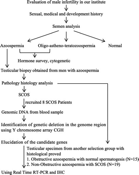 Flow Diagram For Study Design Identification And Validation Of Download Scientific Diagram