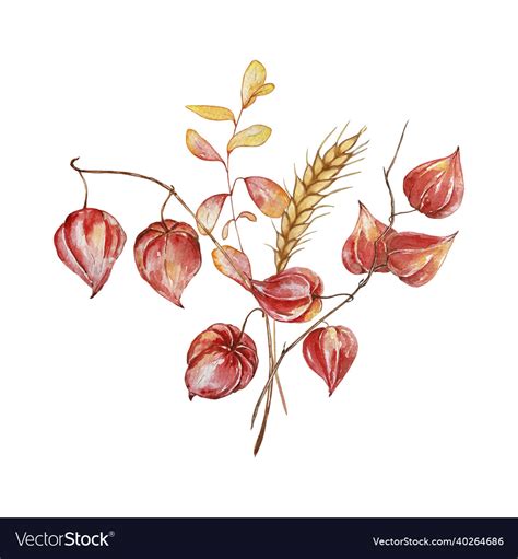 Watercolor Autumn Bouquet Of Leaves And Flowers Vector Image