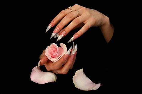 Black Background Showcases Stunning Manicured Hands With Long Polished
