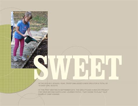 Daisy Girl Scouts Mds Memories Lovenstamps